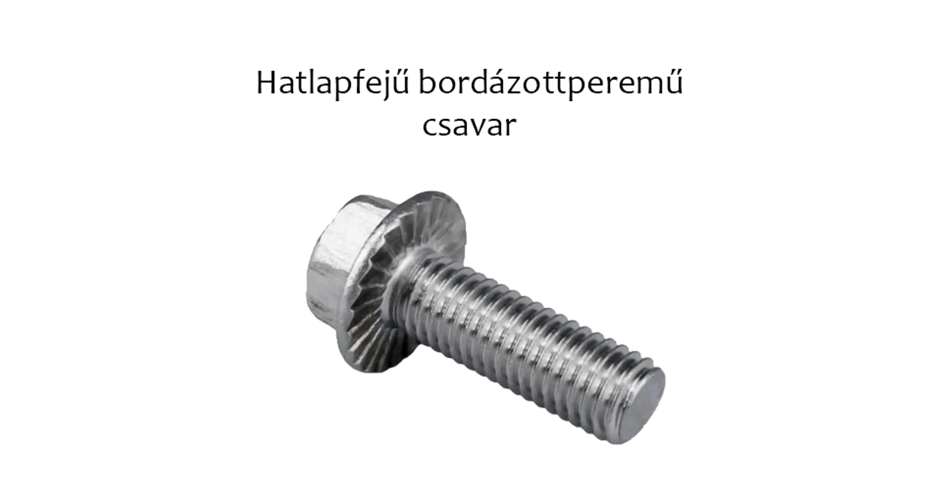 Hatlapfejű bordázott peremű csavar 8.8, horganyzott M8x20